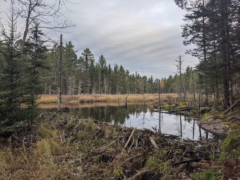 Reflecting on the 2023 BWCAW Situational Assessment